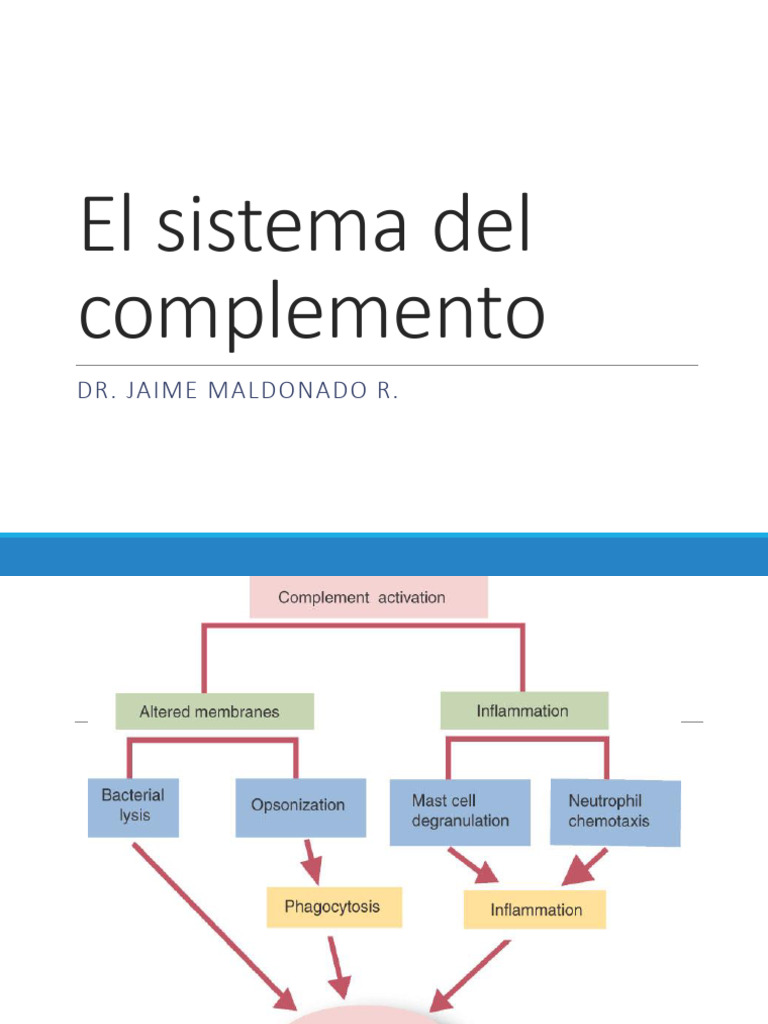 El Sistema Del Complemento | PDF | Sistema complementario | Inmunología