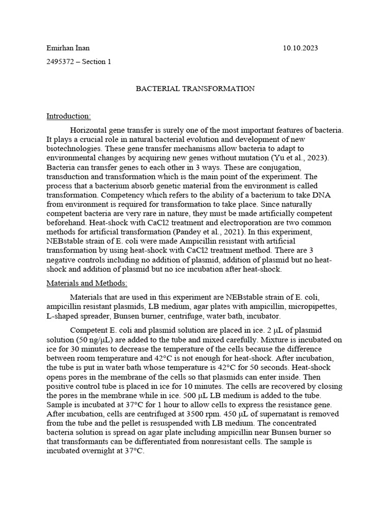 Lab Report | PDF | Transformation (Genetics) | Biology