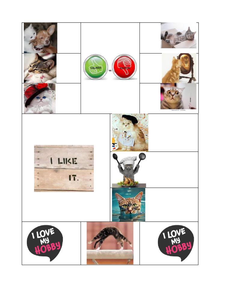 Proiect Ed Sociala | PDF