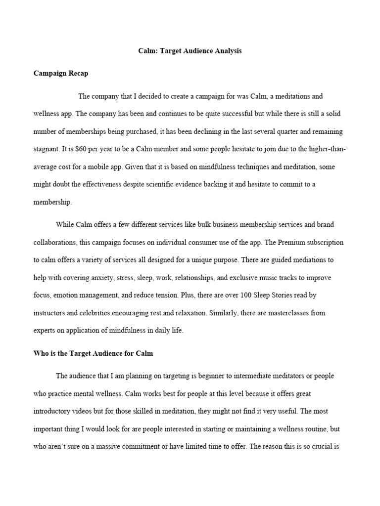 Target Audience Paper 1 | PDF | Mindfulness | Social Media