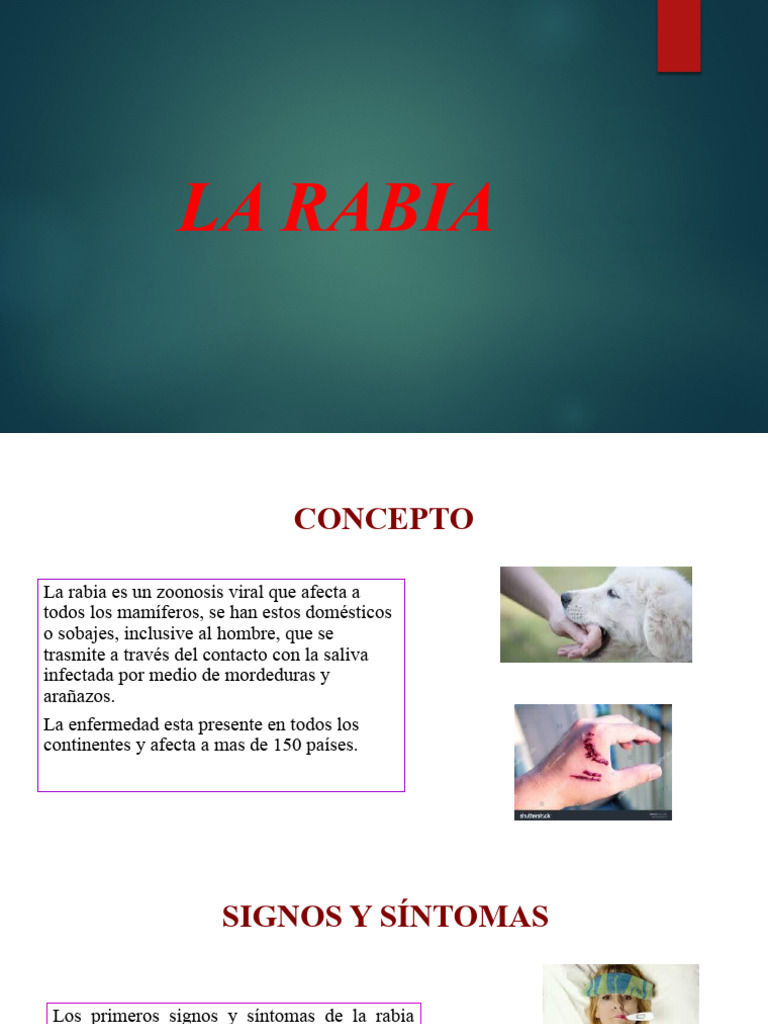 La Rabia | PDF | Rabia | Peste (enfermedad)