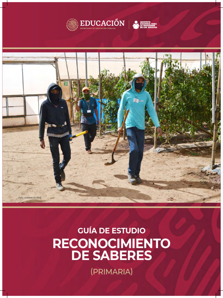 Guia de Reconocimiento de Saberes Primaria | PDF | Alimentos | Pensamiento Guia de Reconocimiento de Saberes Primaria | PDF | Alimentos | Pensamiento