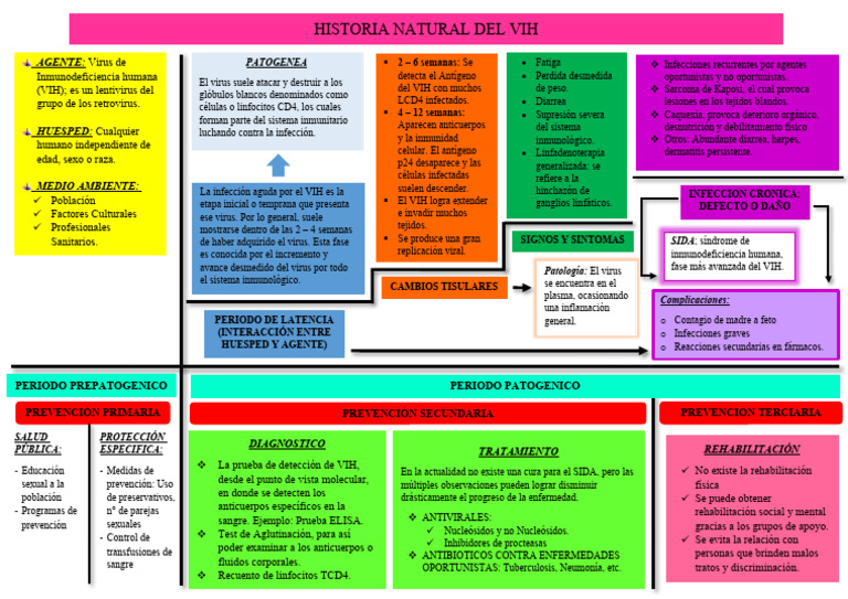 Vih Cuadro | PDF | VIH | Sistema inmune