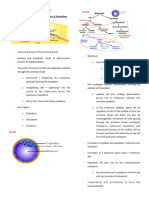 Germ Layers and Their Derivatives | PDF | Morphology (Biology ...