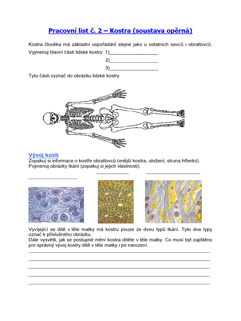 2 - Kostra | PDF