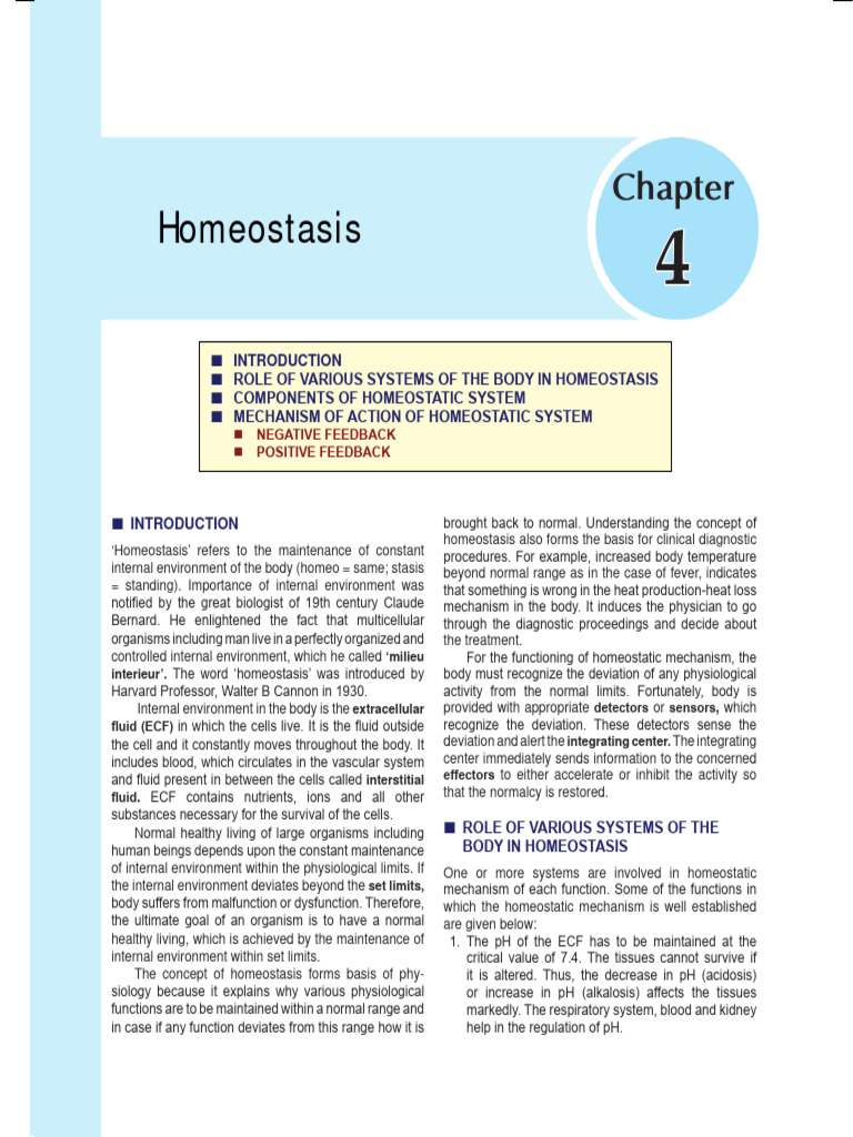 Chapter 4 Homeostasis | PDF | Homeostasis | Human Body