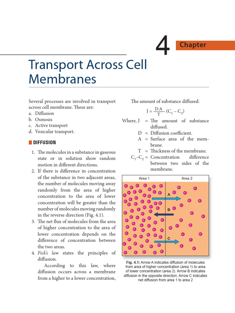 Chapter 4 Transport Across Cell | PDF | Osmosis | Diffusion