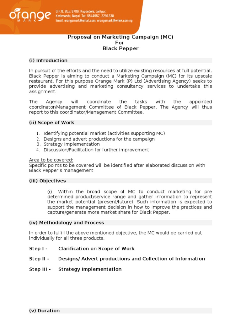 Black Pepper | PDF | Scope (Computer Science) | Marketing