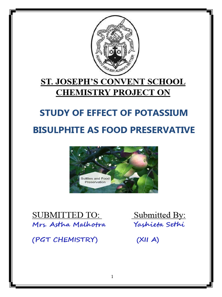 Chemistry Project 2 | PDF | Food Preservation | Food Industry