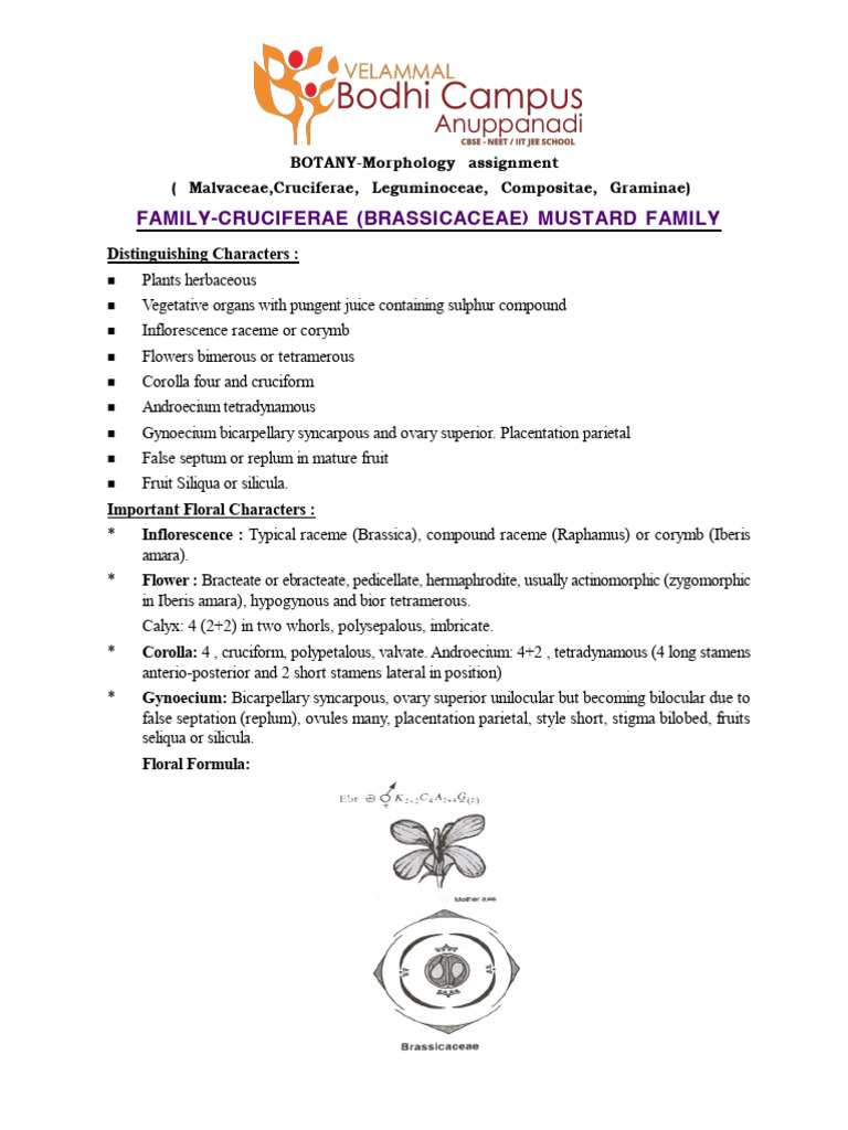 Bot-Morphology New Families Assignments | PDF | Flowers | Petal