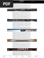 Overview of the MAGA Movement | PDF | Donald Trump | American Government