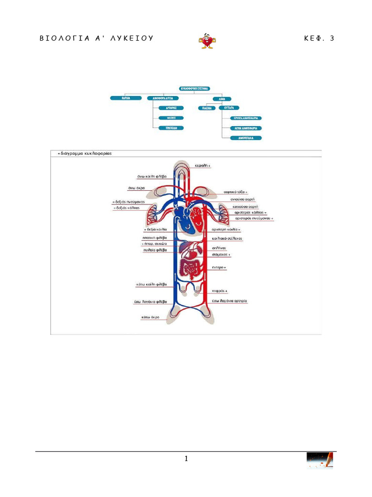 τρ κεφ 3 βιολ α λυκ Pdf