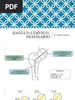 Ángulo de Costa-Bertani y Pie Plano | PDF | Pie | Enfermedades y trastornos