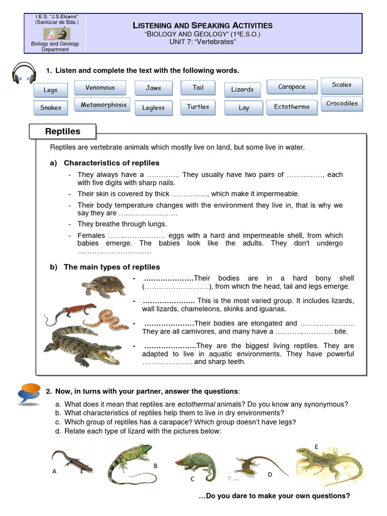 Reptiles | PDF | Reptile | Lizard