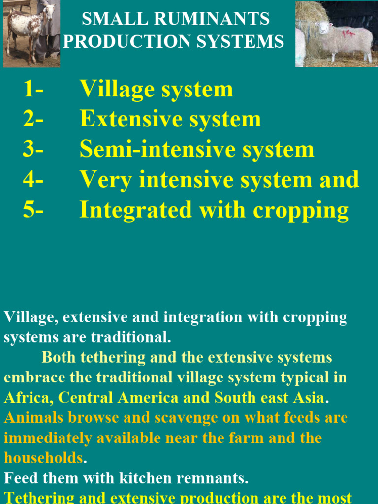 4-Small Ruminants Production Systems | PDF | Intensive Farming | Goat