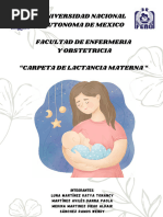 Nueva Normativa Anemia RM 251-2024-Minsa. NTS 213-2024. Modificatoria RM 429-2024-Minsa | PDF ...