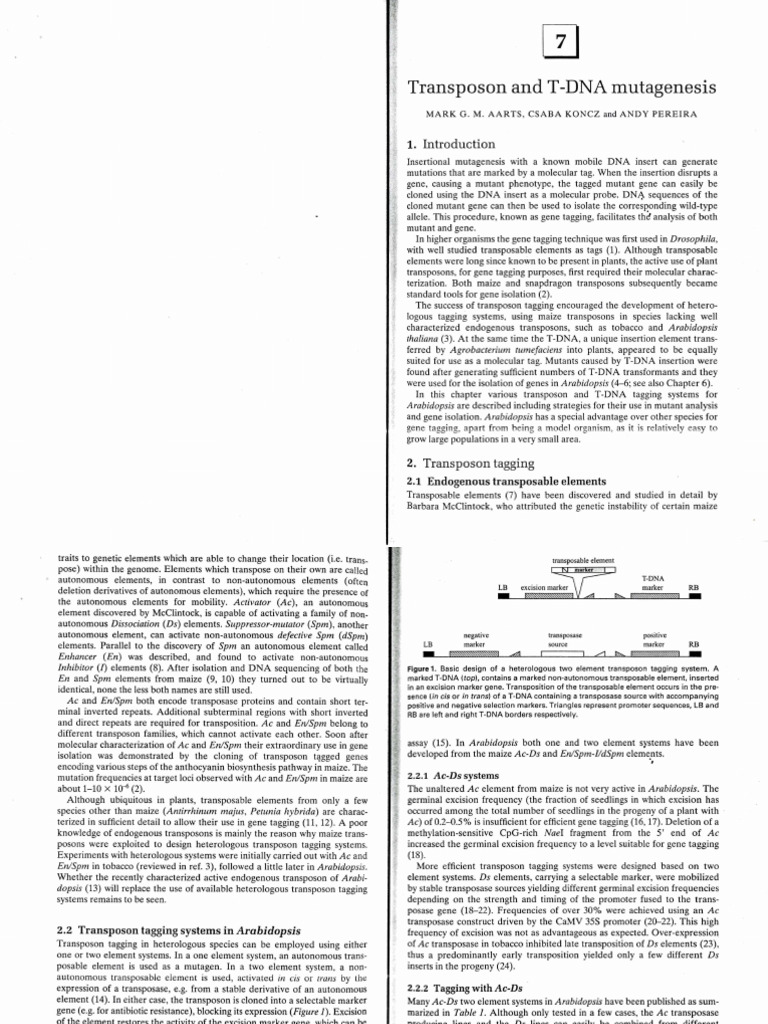Transposon Aarts Koncz Review 1999 | PDF | Transposable Element | Arabidopsis Thaliana