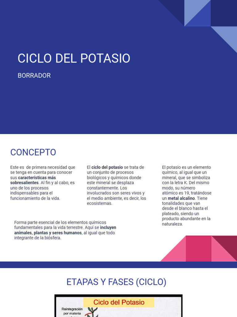 Ciclo Del Potasio | PDF