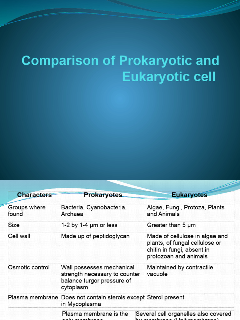 1 4 2 Comparison Of Prokaryotic And Eukaryotic Cell Pdf Cell