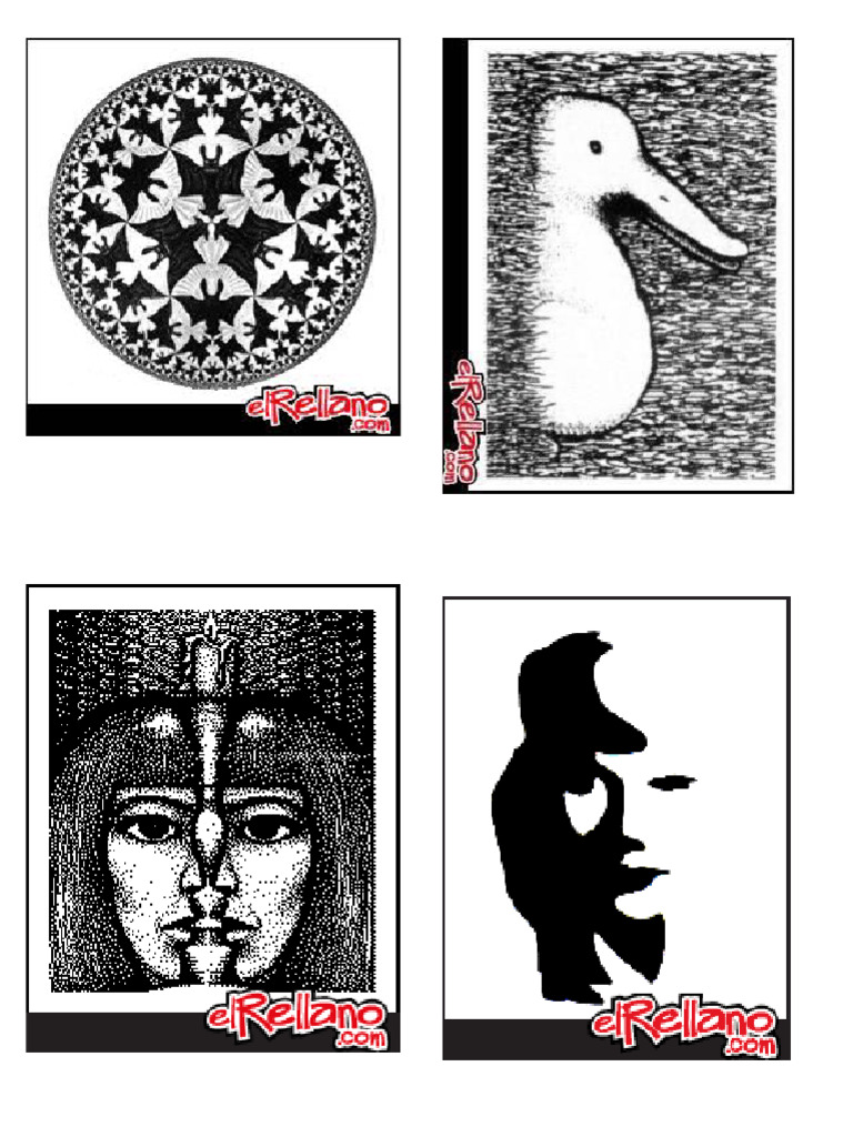 Ilusiones Opticas | PDF