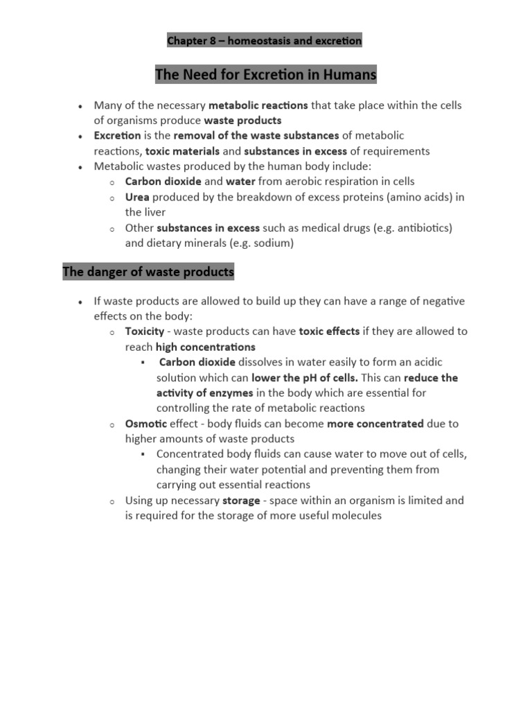 Homeostasis and Excretion | PDF | Kidney | Homeostasis