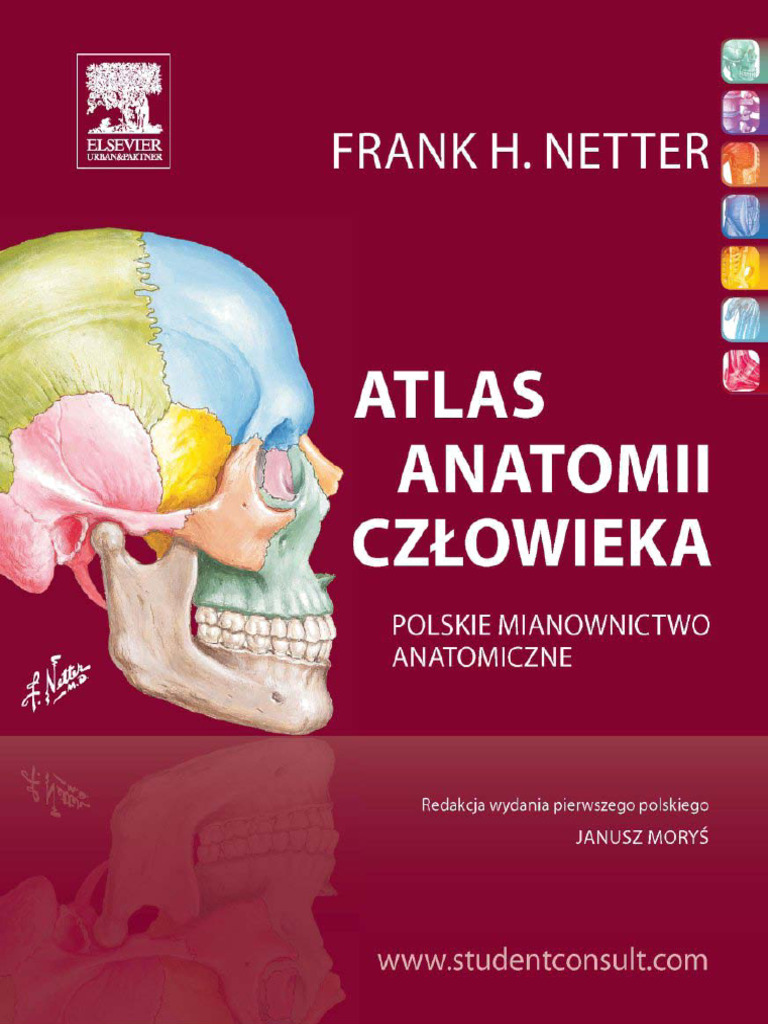 Netter Frank - Atlas Anatomii Czlowiekapdf | PDF Netter Frank - Atlas Anatomii Czlowiekapdf | PDF