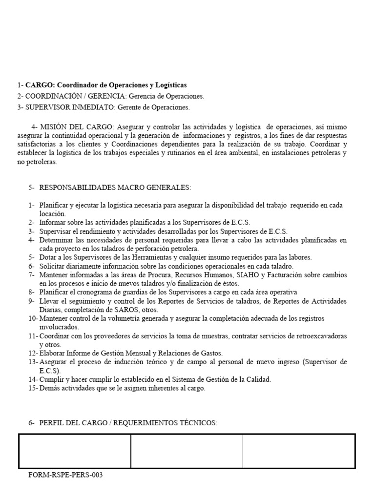 Descripcion de Cargo | PDF | Logística | Business