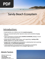 Sandy Beach Ecosystems Explained | PDF | Beach | Coast