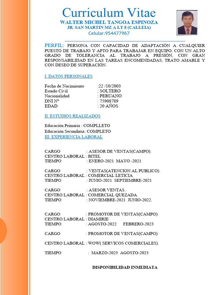 Curriculum Angel | PDF | Crecimiento personal y profesional