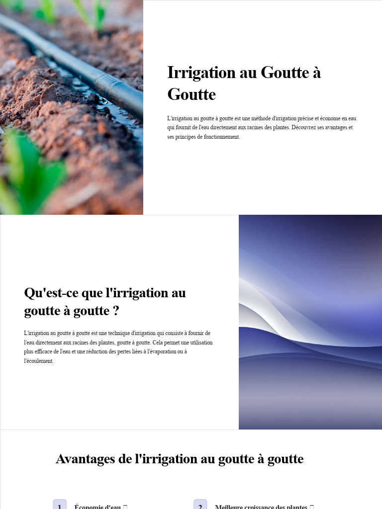 Irrigation Au Goutte A Goutte | PDF | Irrigation | Eau