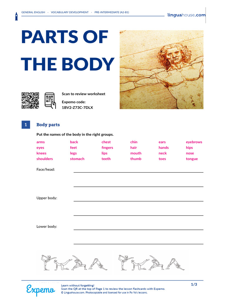 Parts of The Body British English Student | PDF | Human Anatomy