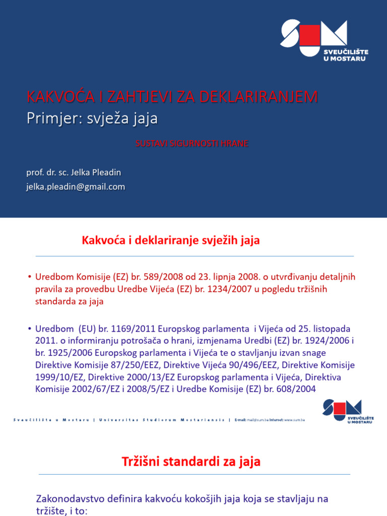 SSH 2023, Primjer 1, Deklariranje Jaja | PDF