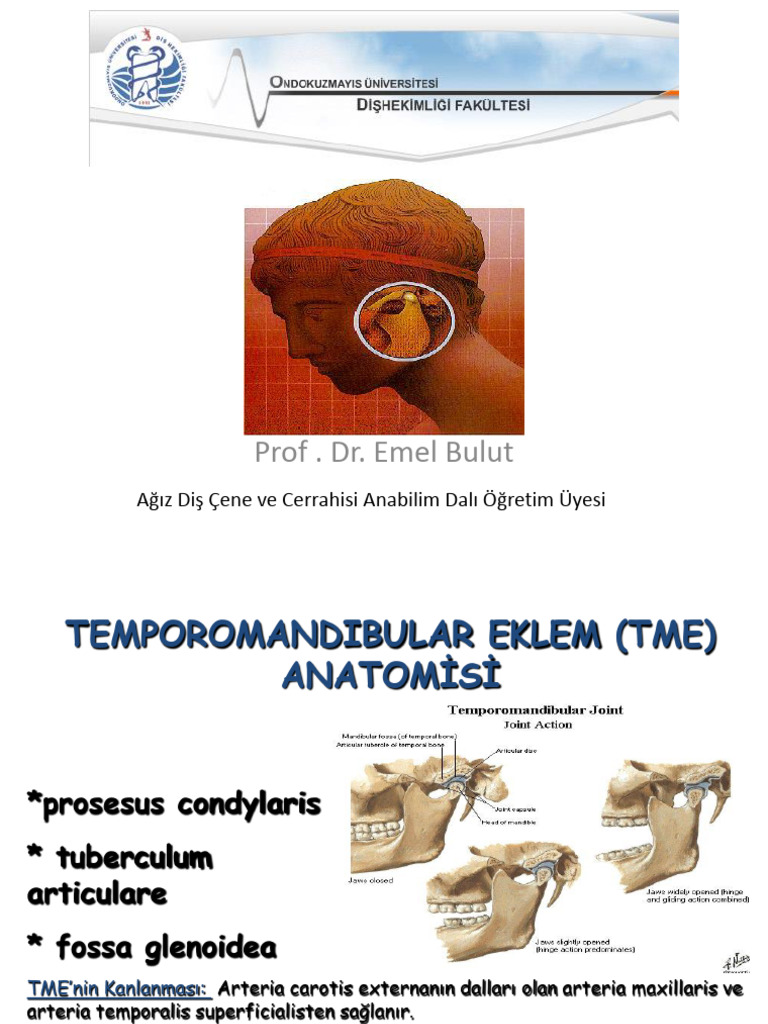 DHF - 302 - C-9 TME Anatomisi | PDF