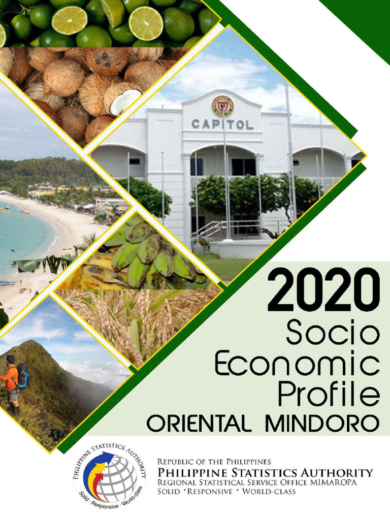 2020 Socio Economic Profile Oriental Mindoro | PDF | Economies