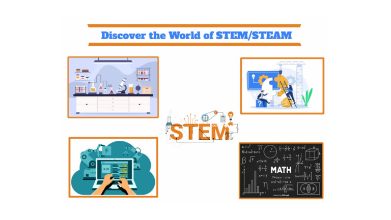 Stem | PDF