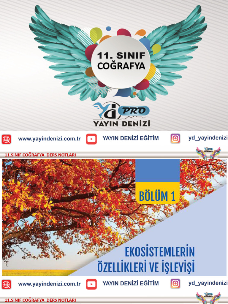 Calisma 1 Ekosistemler | PDF