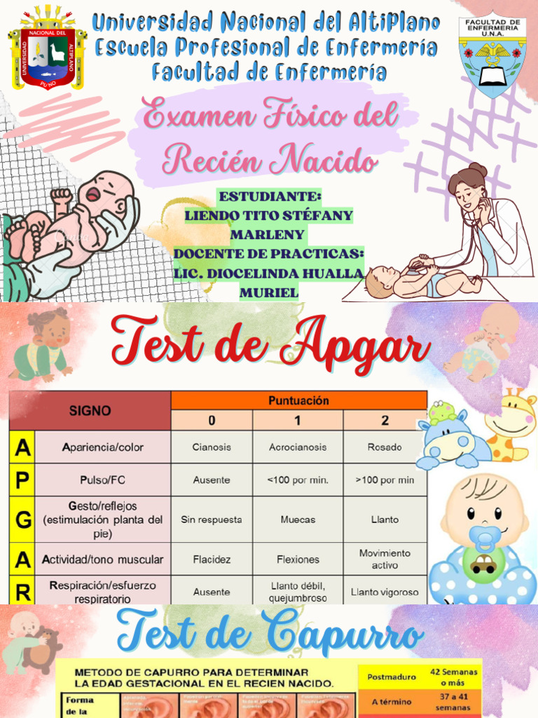 Examen Físico Del Recién Nacido - Juliaca | Descargar gratis PDF | Anatomía | Anatomía humana