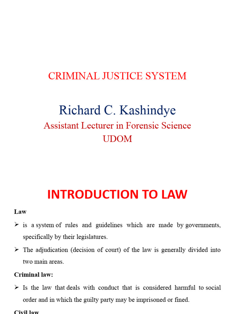 Criminal Justice System | PDF | Prosecutor | Bail
