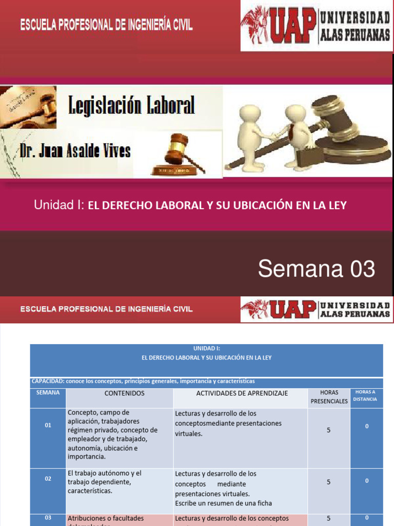 5 Atribuciones Del Empleador | PDF | Derecho laboral | Justicia