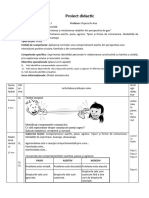 Exemple de Proiecte Didactice | PDF