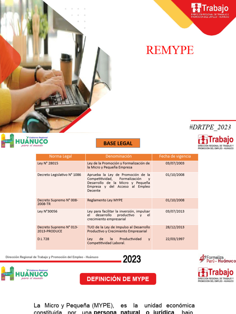 REMYPE | PDF | Pequeñas y medianas empresas | Business