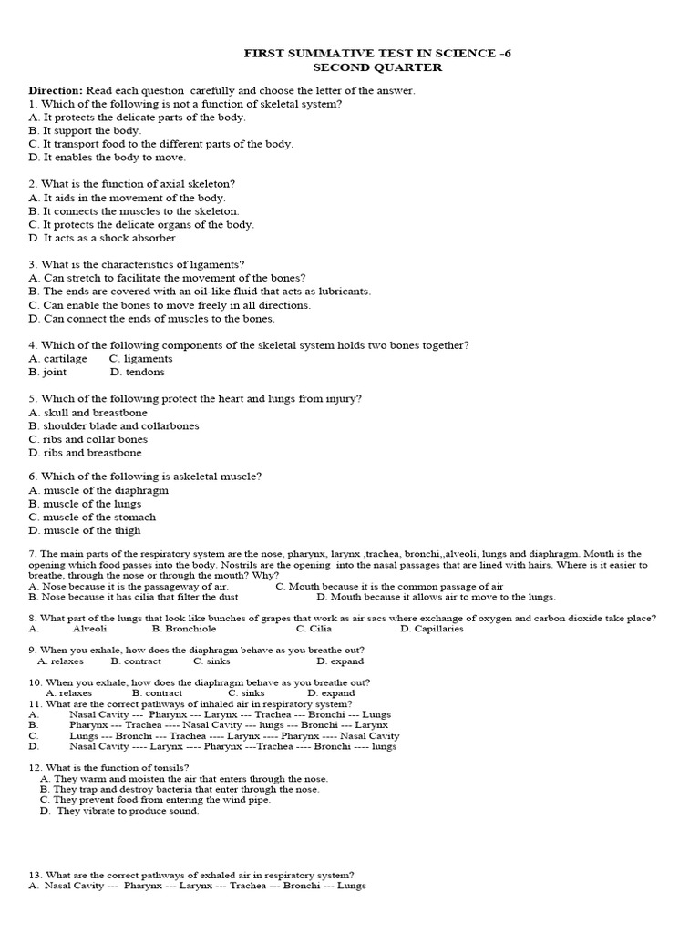 First Summative Test in Science 6 | PDF | Respiratory Tract | Lung