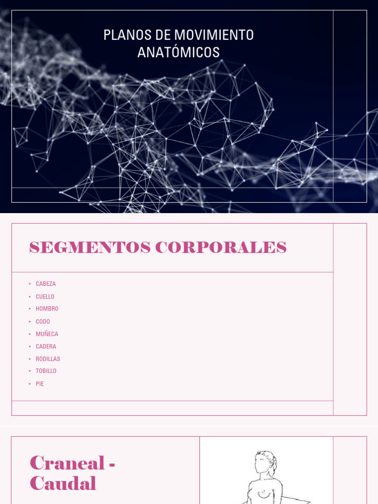 Movimientos y Planos del Cuerpo Humano | PDF | Tobillo | Términos ...