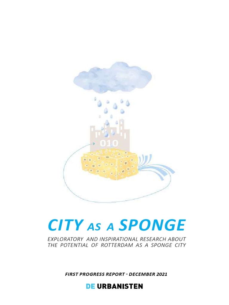 SpongeCity Report Compressed | PDF | Soil | Water