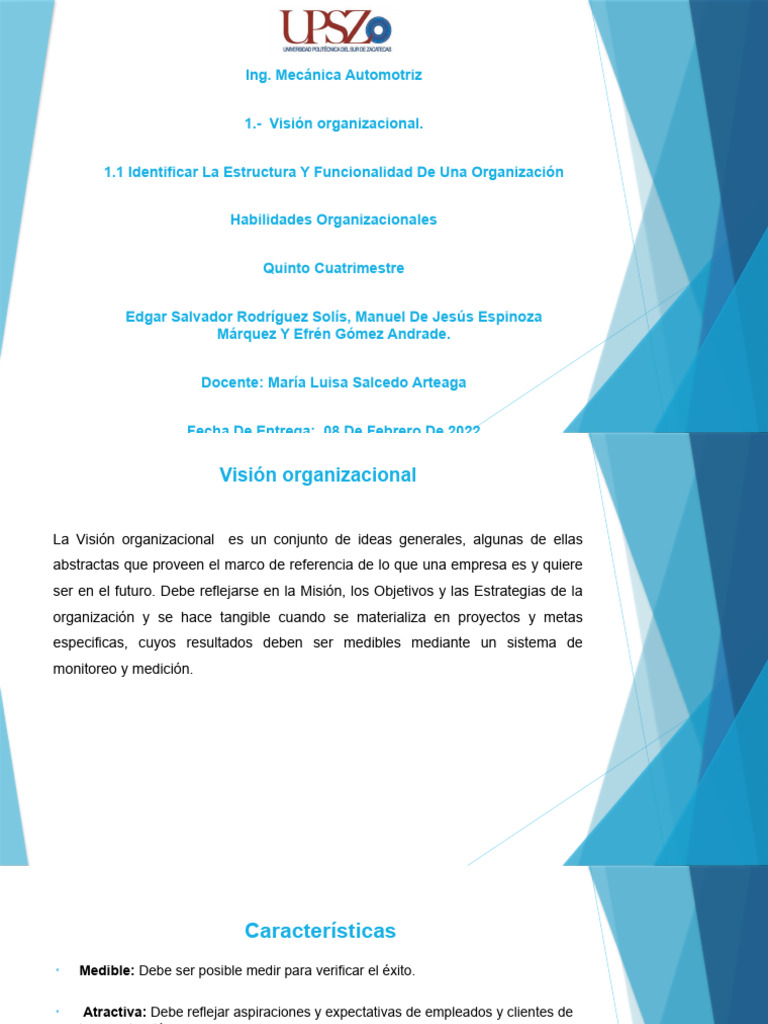 Visión Organizacional - EGA - ESRS - MDJEM | PDF | Business