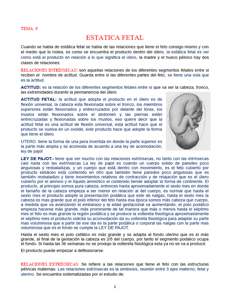 Estatica Fetal | PDF | Anatomía | Anatomía humana