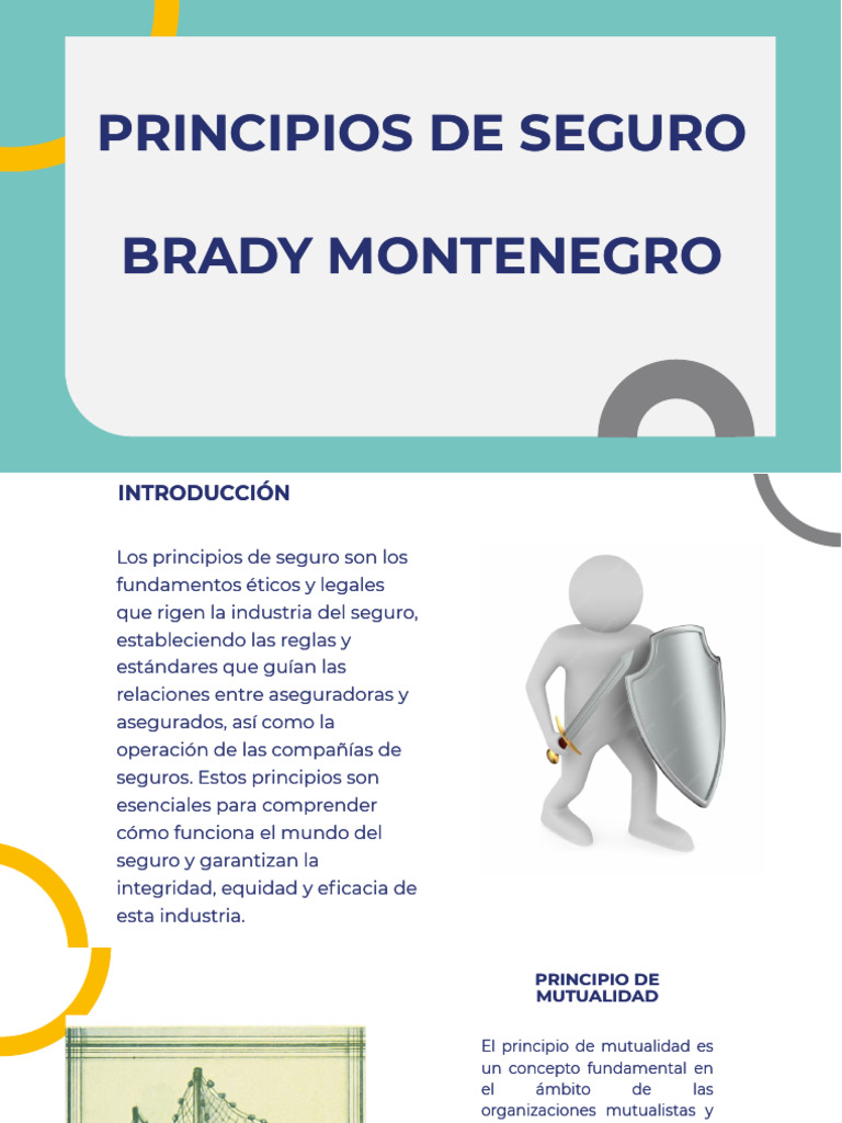 Principios de Seguro | PDF | Póliza de seguros | Seguro
