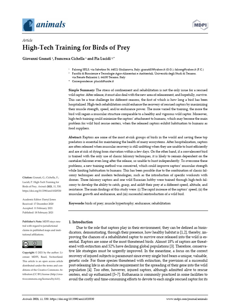 High-Tech Training For Birds of Prey | PDF | Falconry | Strength Training