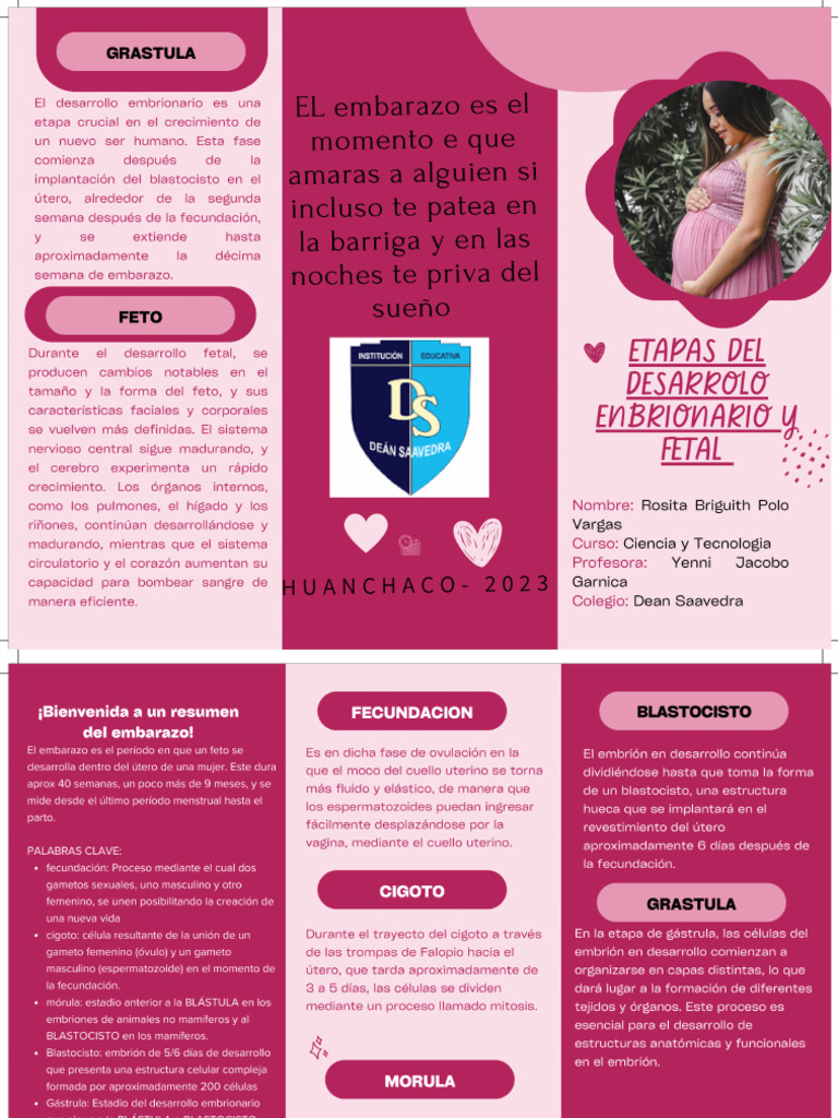 Brochure Triptico Curso Lactancia Materna Organico Rosado | PDF Brochure Triptico Curso Lactancia Materna Organico Rosado | PDF