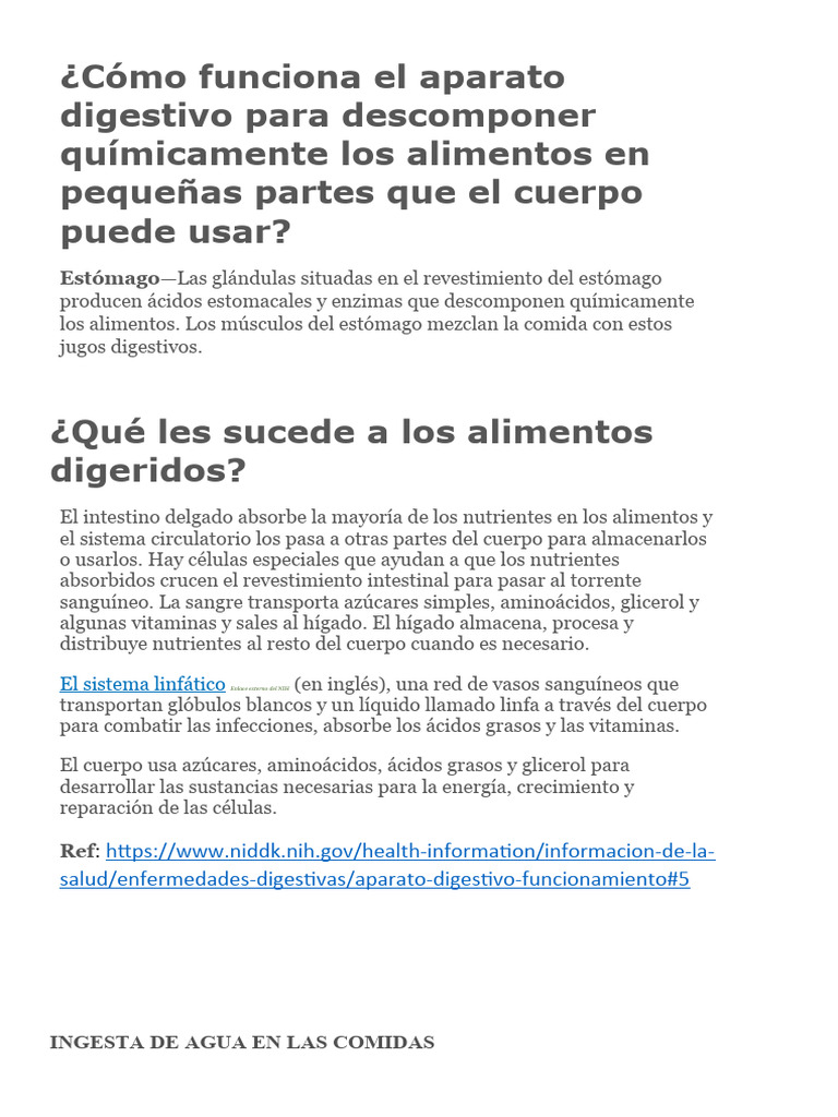 Cómo funciona el aparato digestivo para descomponer químicamente los ...
